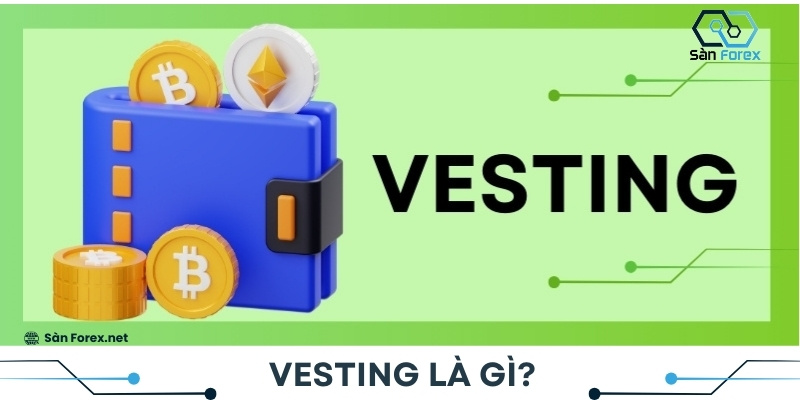 Vesting là gì? Lợi ích và vai trò của nó